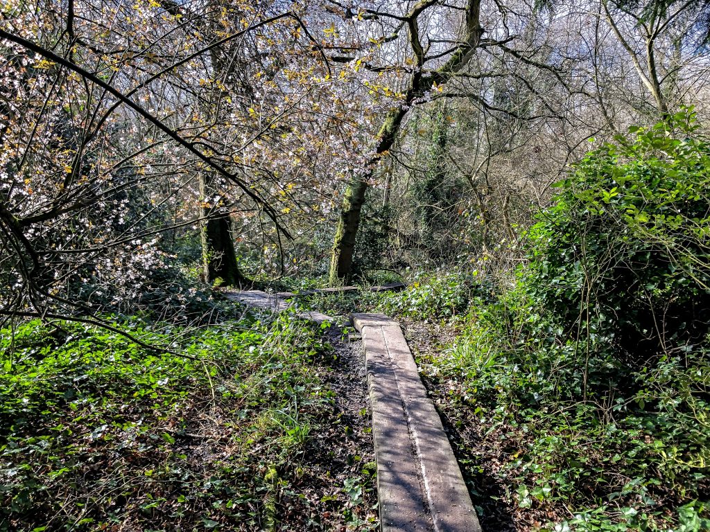10 Beautiful Green Spaces In Birmingham You NEED To Explore This Autumn ...