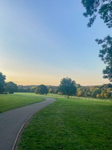 10 Beautiful Green Spaces In Birmingham You NEED To Explore This Autumn ...